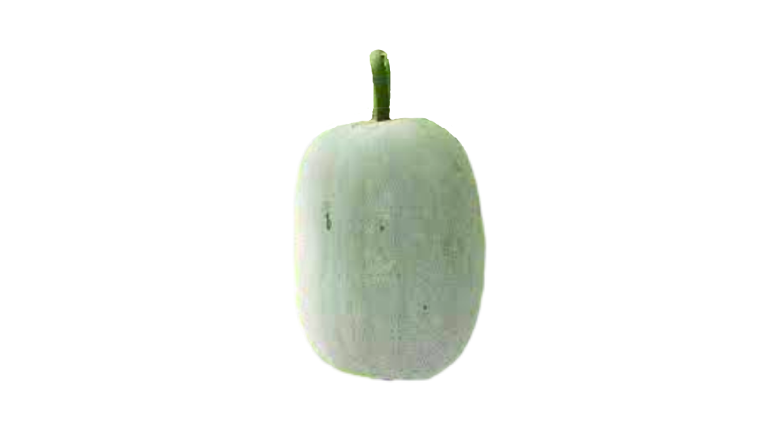 Buy Ash Gourd Seeds Online in India at Best Price from Trusted Brands ...