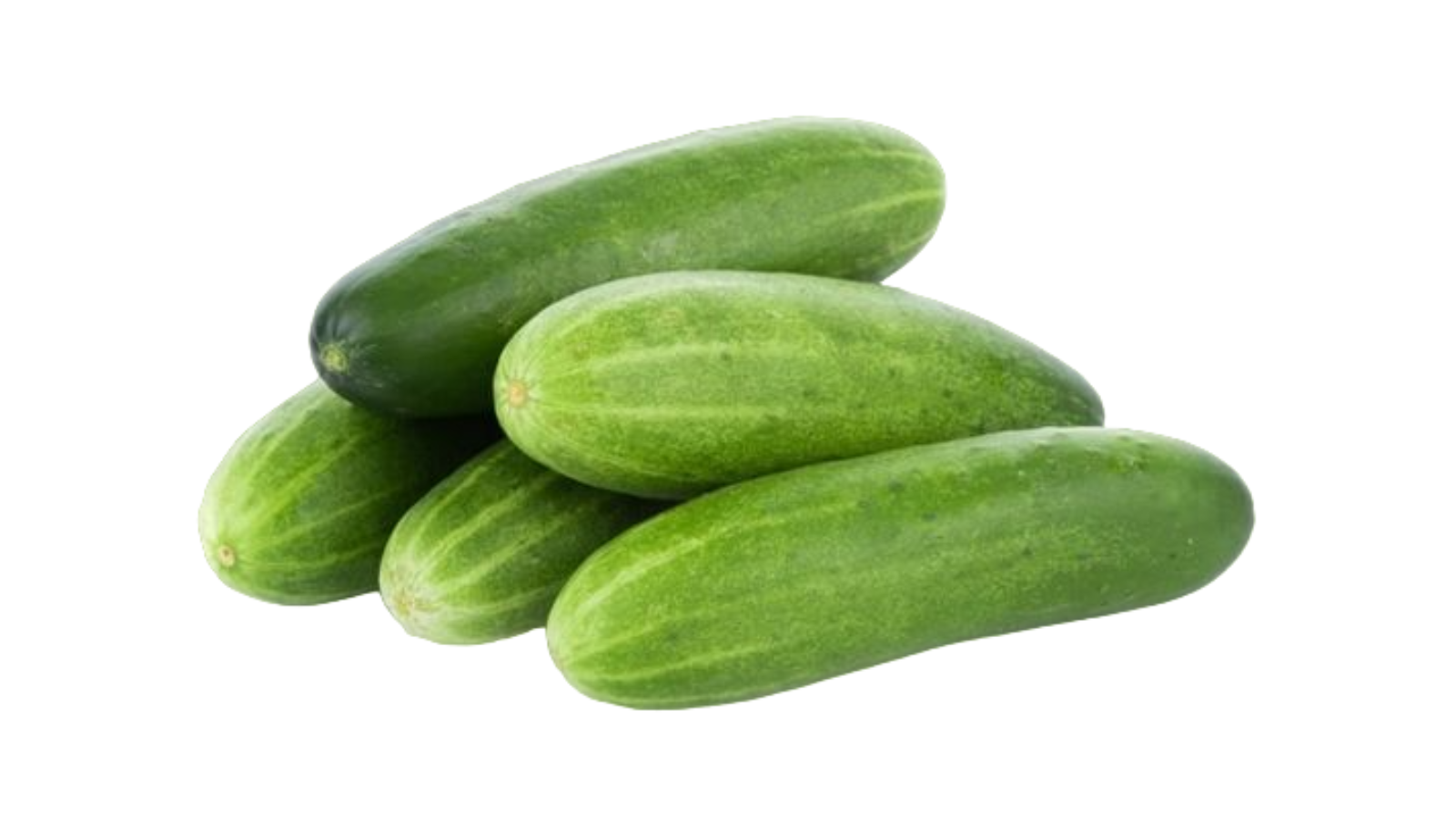 Buy Cucumber Seeds Online in India at Best Price from trusted Brands ...