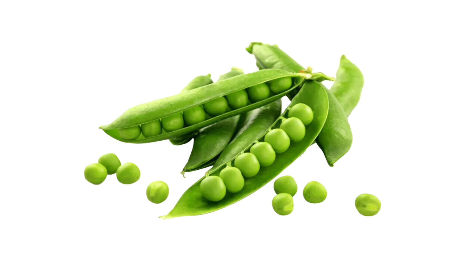 Buy Garden Pea Seeds Online in India at Best Price from Trusted Brands ...