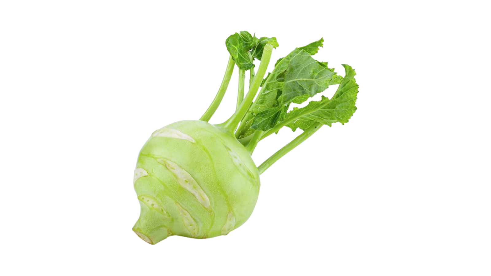 Buy Knol Khol Seeds Online in India at Best Price from Trusted Brands ...