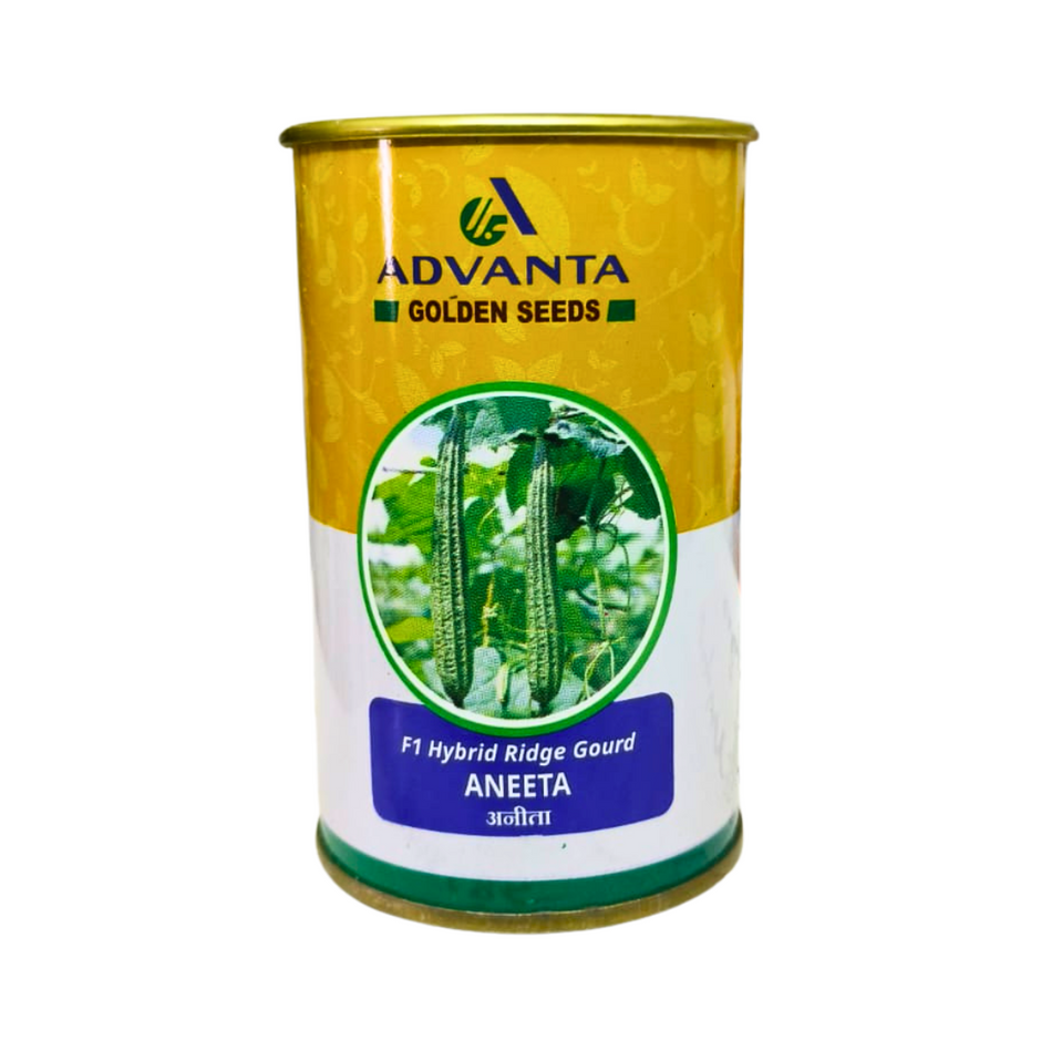 Advanta Seeds | Buy Online in India at Best Price | DesiKheti – Desikheti