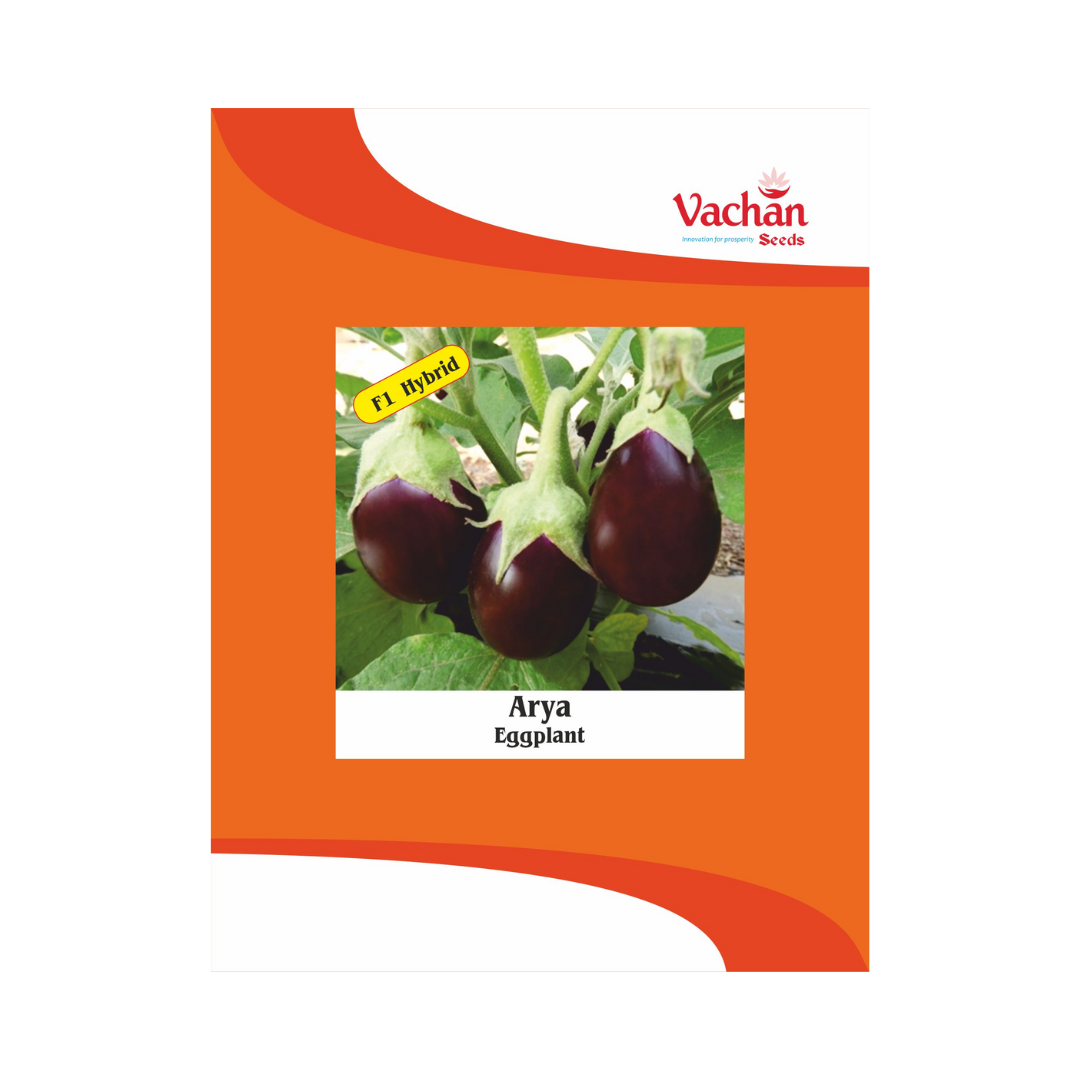 Arya Brinjal Seeds - Vachan | F1 Hybrid | Buy Online Now - DesiKheti ...