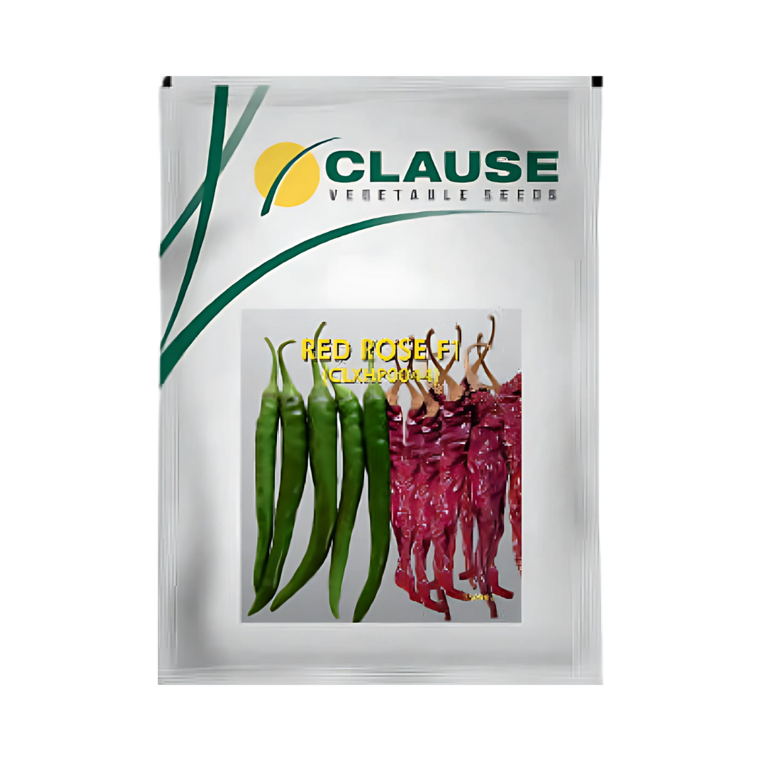 HM Clause Chilli Seeds | Buy Online in India at Best price - DesiKheti ...