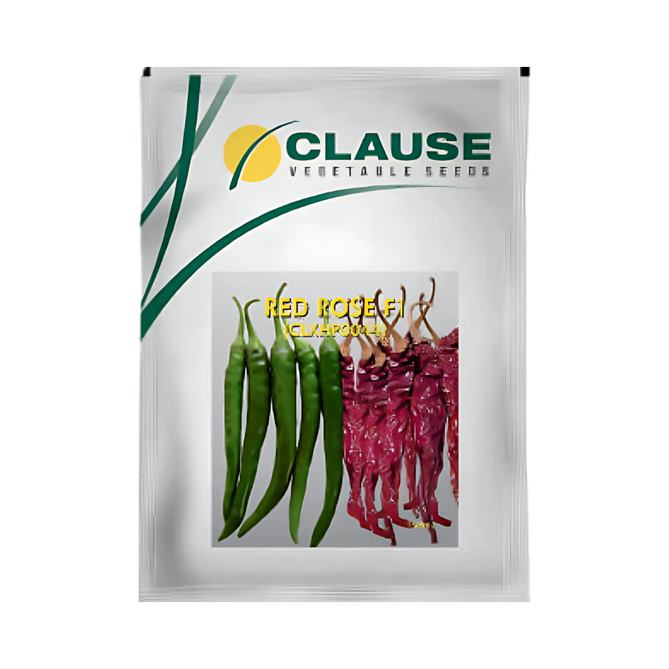 HM Clause Chilli Seeds | Buy Online in India at Best price - DesiKheti ...