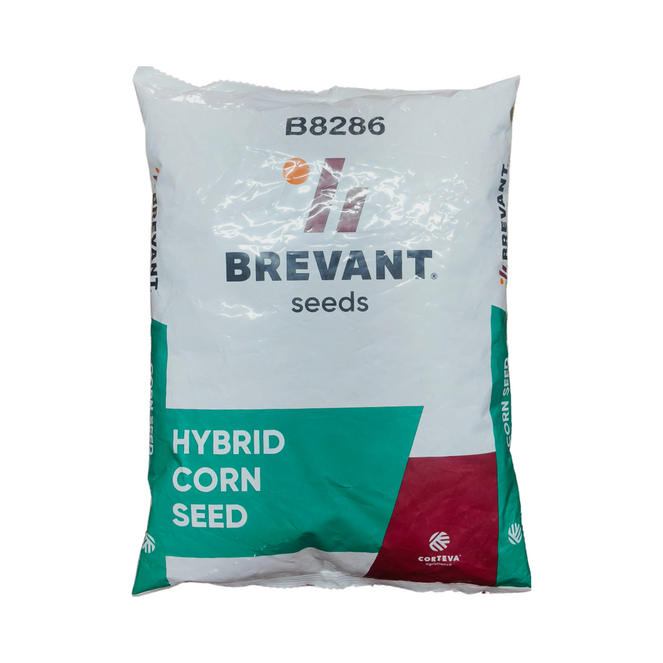 Buy Maize Seeds Online in India at Best Price from Trusted Brands ...