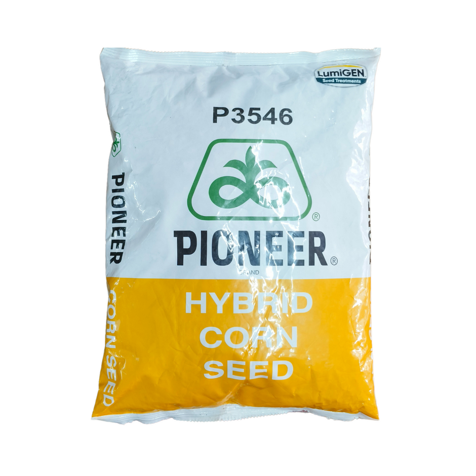 Pioneer Maize Seeds | Buy Online at Best Price – Desikheti