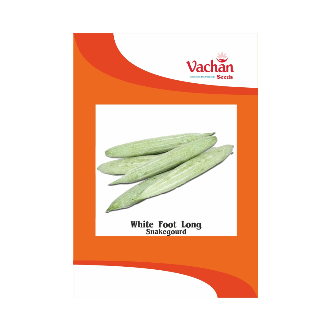 White Foot Long Snake Gourd Seeds - Vachan | Buy Online Now - DesiKheti ...