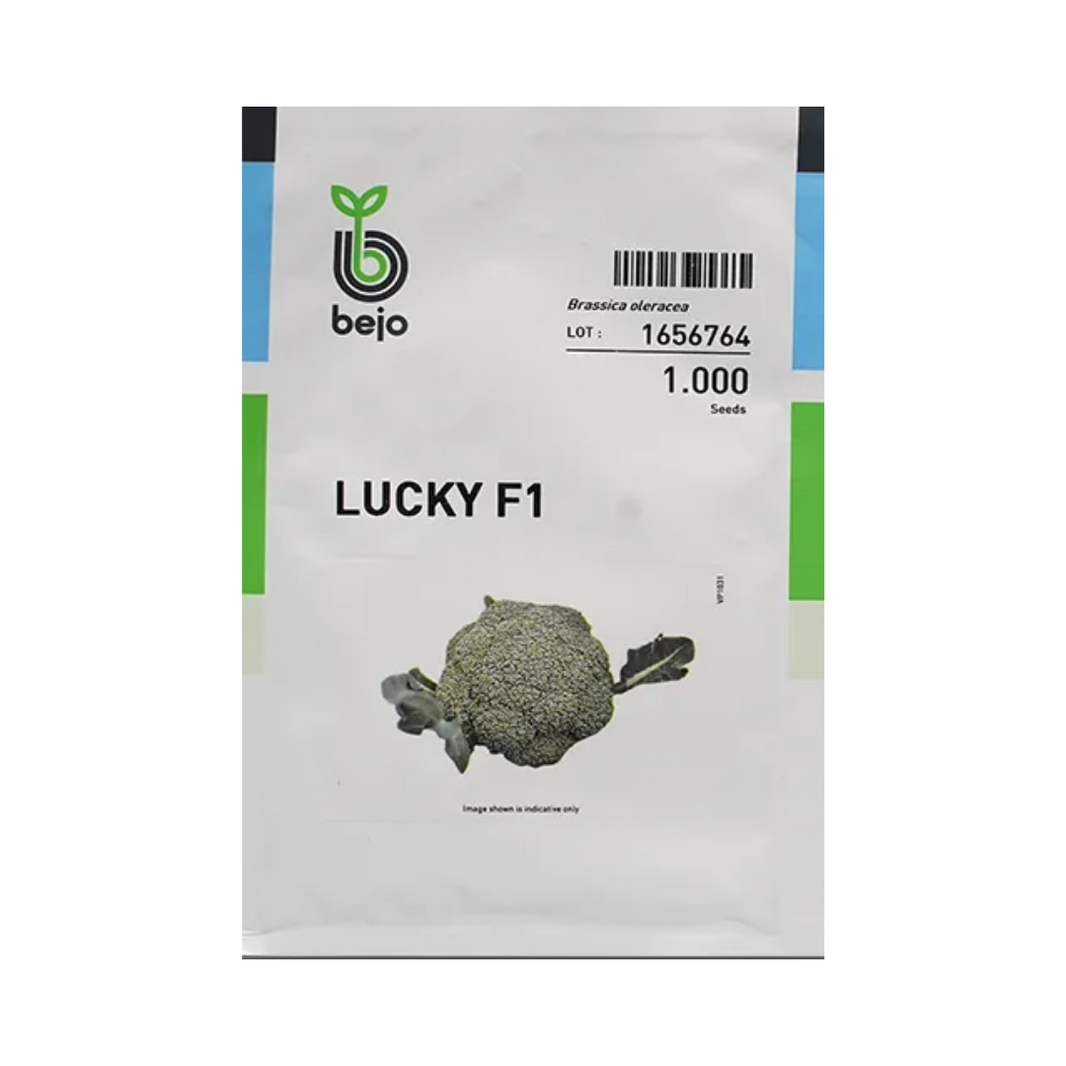 Bejo Seeds | Buy Online in India at Best Price | DesiKheti – Desikheti