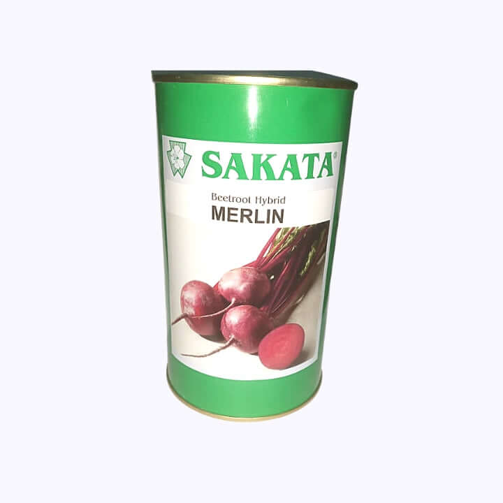 Buy Beetroot Seeds Online in India at Best Price from Trusted Brands ...